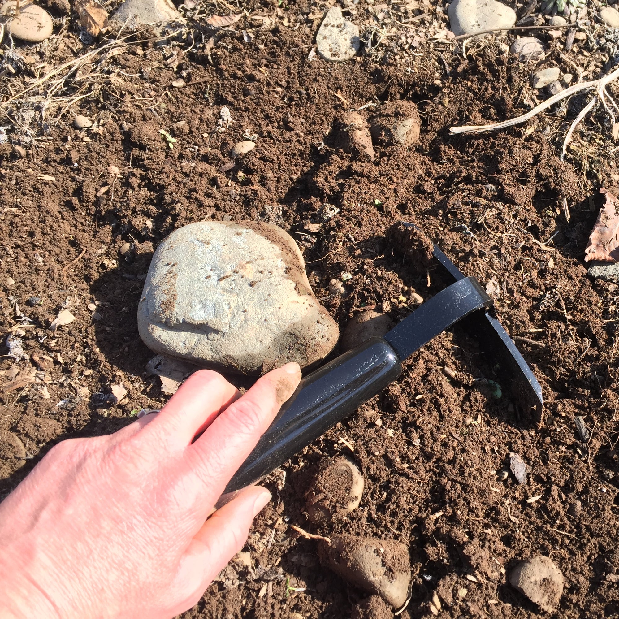 6 Tips for Summer Weeding – Hudson Valley Seed Company