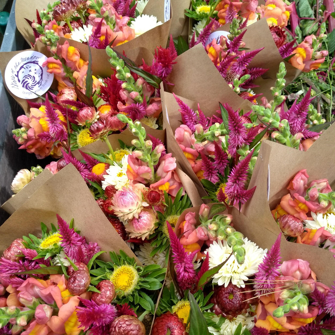 Grower to Grower: Cut Flower Gardens with Stars of the Meadow Farm ...