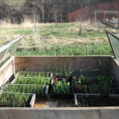 Seed-Starting 101: The Quick-and-Easy Cold Frame – Hudson Valley Seed ...