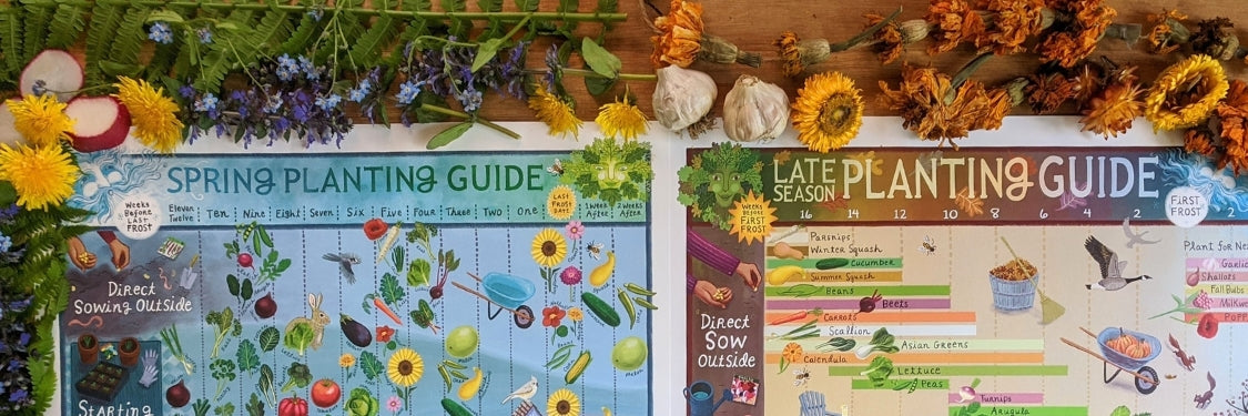 Planting Guide Posters – Hudson Valley Seed Company