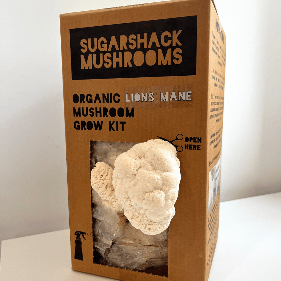 Mushrooms – Hudson Valley Seed Company