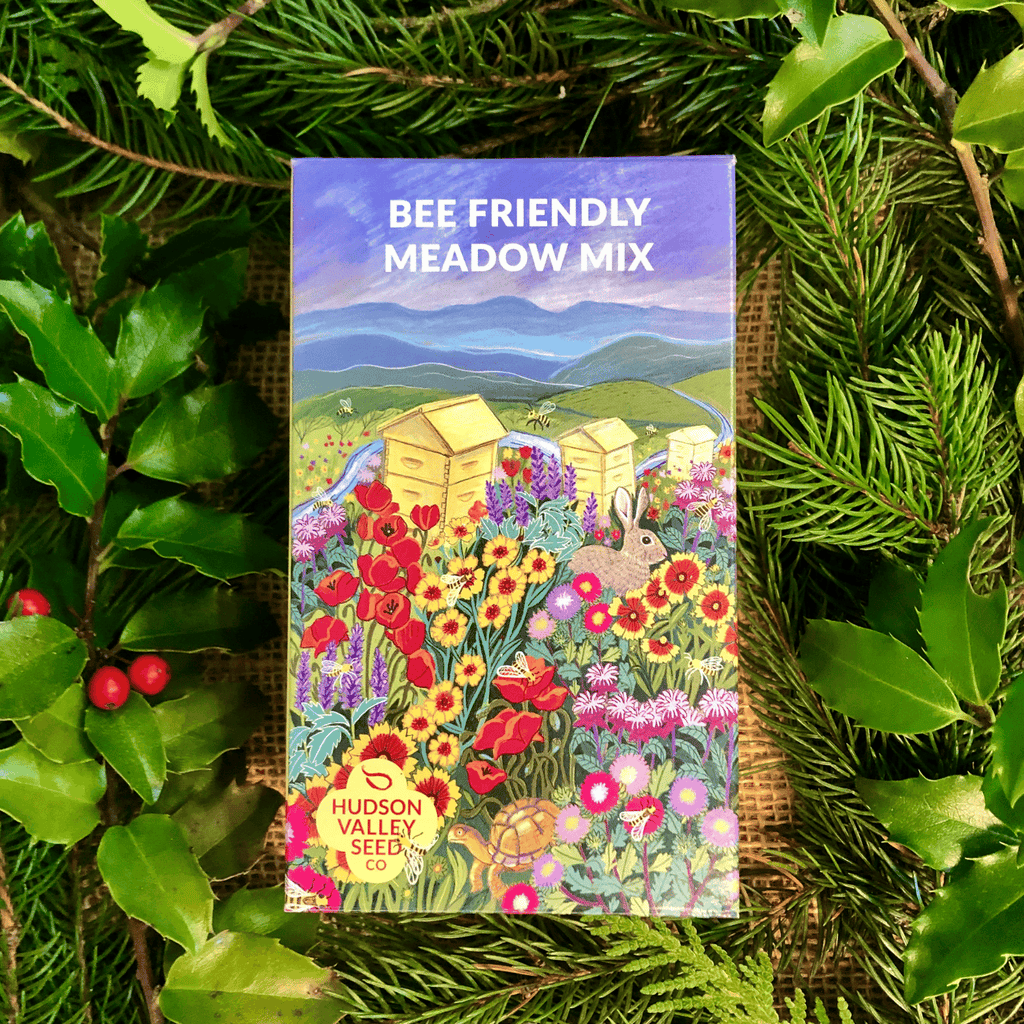 Bee Friendly Wildflower Mix Seed Shaker – Hudson Valley Seed Company