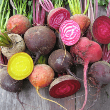 Brilliant Beet Blend Organic Seeds – Hudson Valley Seed Company