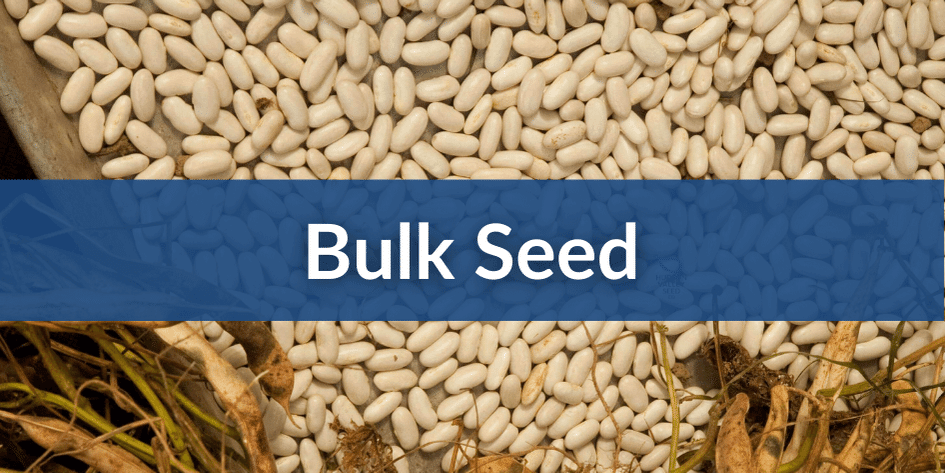 Bulk Seed – Hudson Valley Seed Company