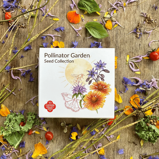 Seed Collections – Hudson Valley Seed Company
