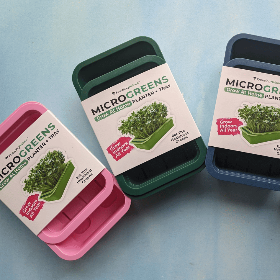 Microgreens Starter Kit – Hudson Valley Seed Company