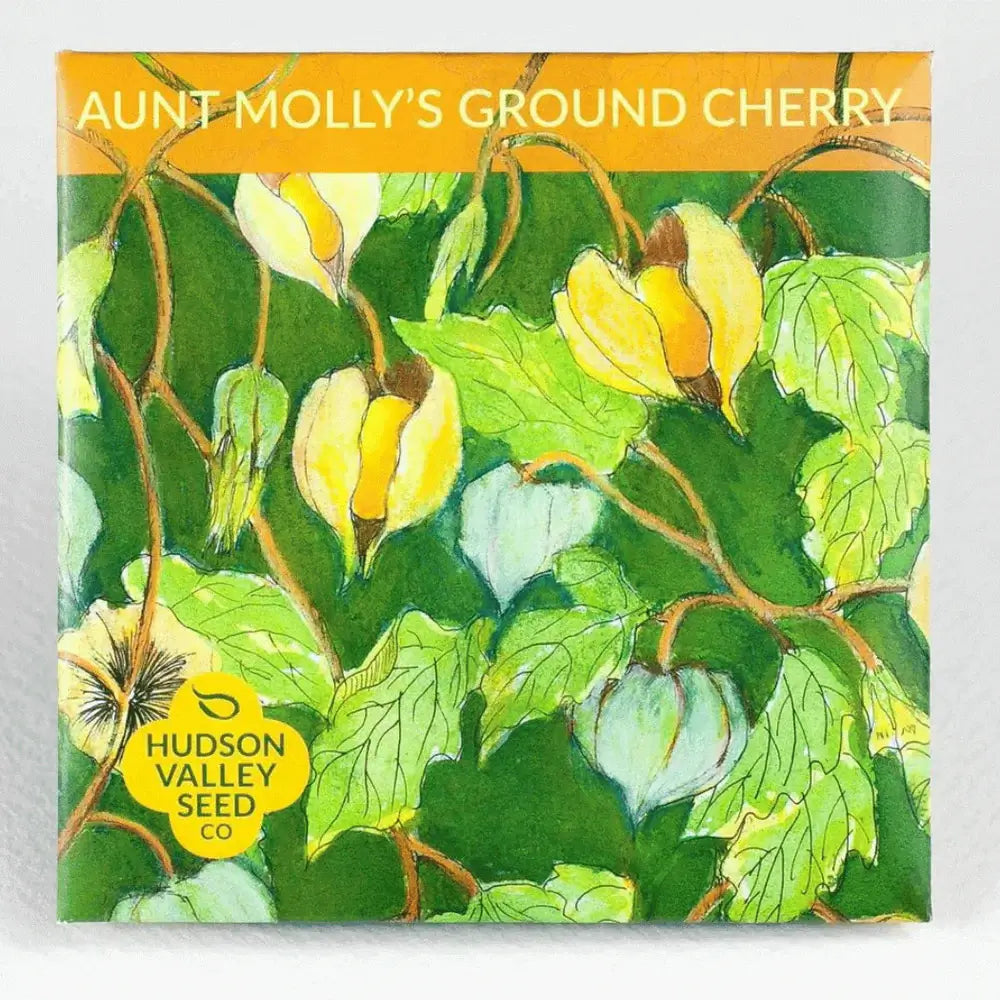 Aunt Molly's Ground Cherry Organic Seeds – Hudson Valley Seed Company