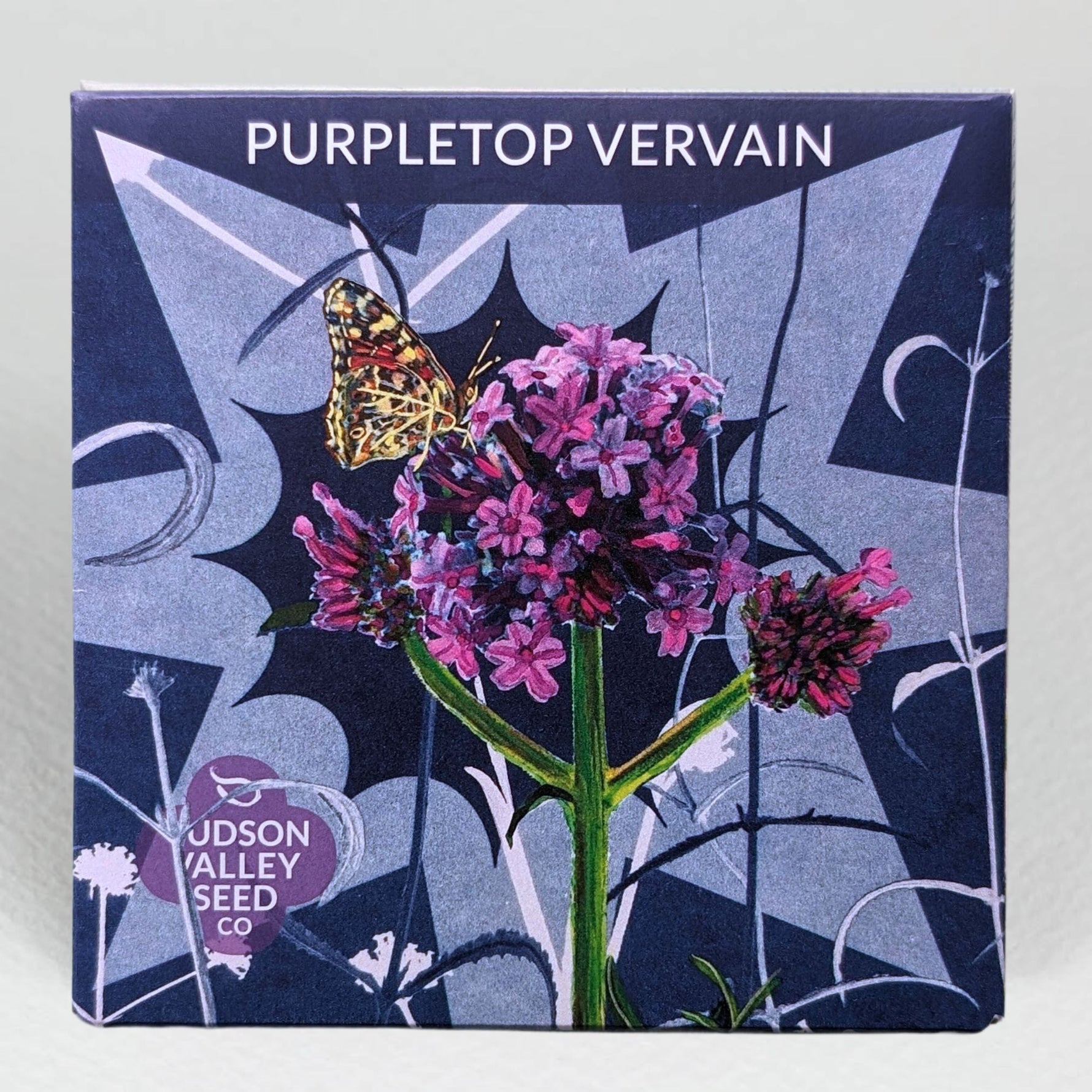 Purpletop Vervain Seeds – Hudson Valley Seed Company