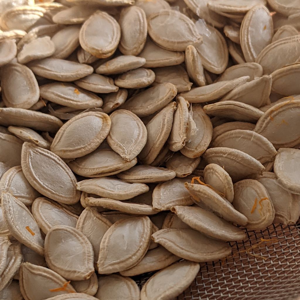 Resource Page – Hudson Valley Seed Company