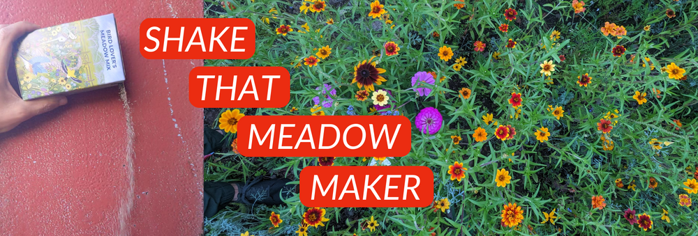 Shake That Meadow Maker – Hudson Valley Seed Company
