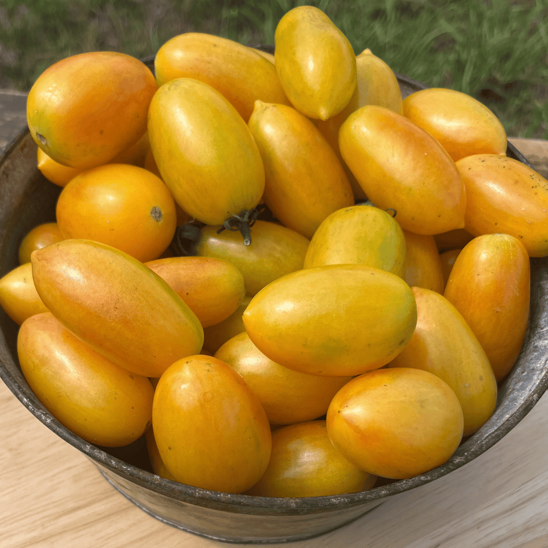 Blush Tomato Organic Seeds – Hudson Valley Seed Company