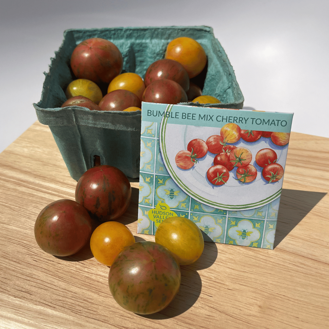 Bumble Bee Mix Cherry Tomato Organic Seeds – Hudson Valley Seed Company