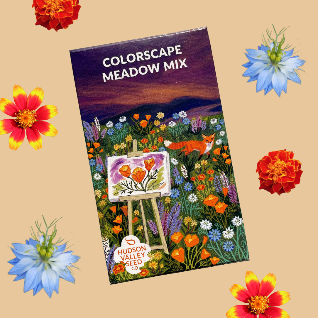 Colorscape Meadow Mix Seed Shaker – Hudson Valley Seed Company