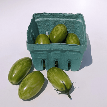 Green Tiger Tomato – Hudson Valley Seed Company