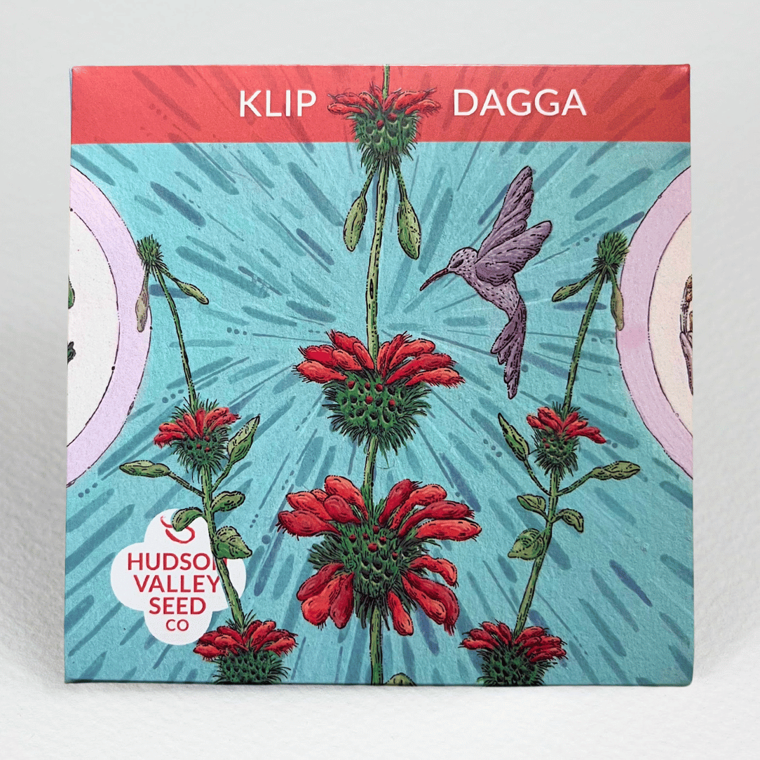 Klip Dagga Organic Seeds – Hudson Valley Seed Company
