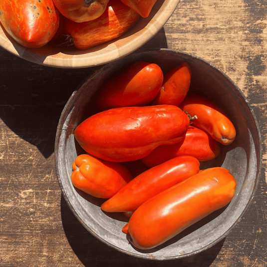 Opalka Tomato Organic Seeds – Hudson Valley Seed Company
