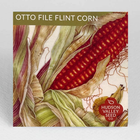 Otto File Flint Corn Organic Seeds – Hudson Valley Seed Company