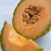 Pride of Wisconsin Melon – Hudson Valley Seed Company