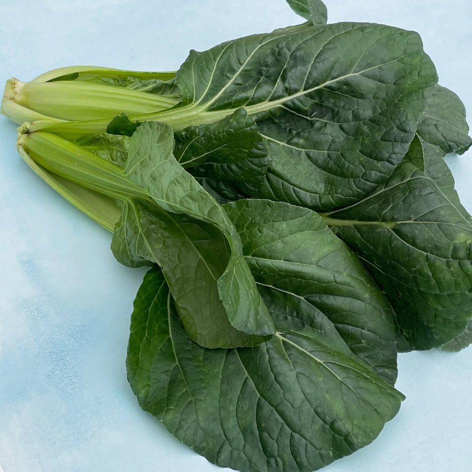 Asian Greens – Hudson Valley Seed Company