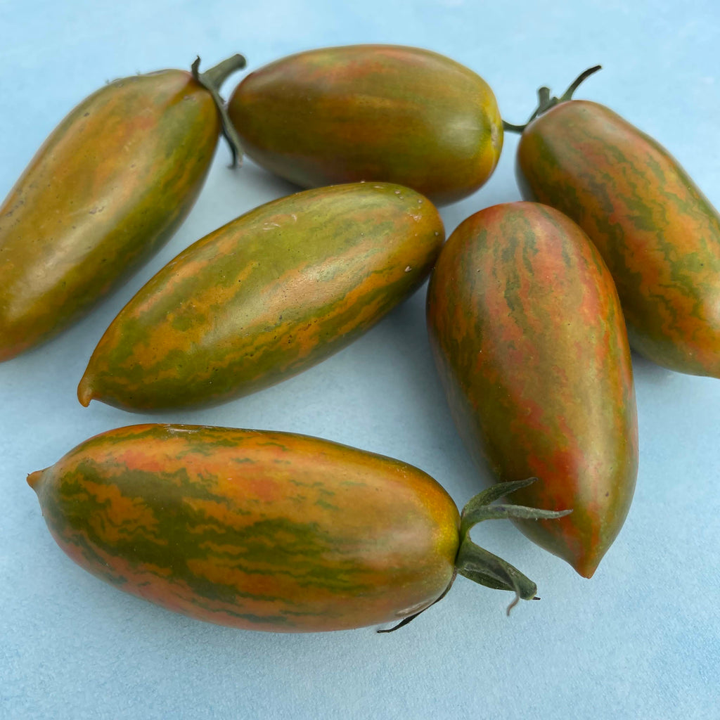 Green Tiger Tomato – Hudson Valley Seed Company