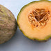 Pride of Wisconsin Melon – Hudson Valley Seed Company