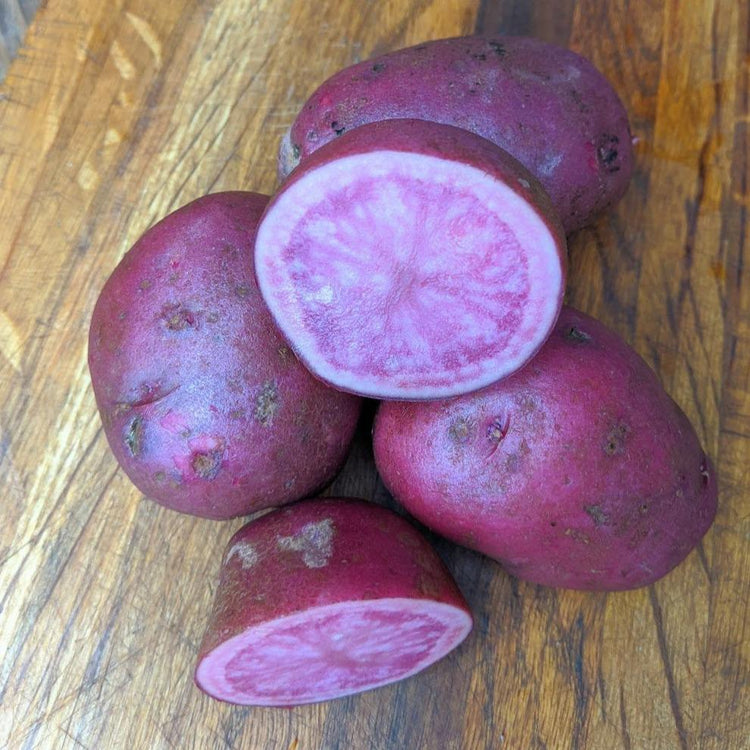Adirondack Red Potato Organic Tubers – Hudson Valley Seed Company