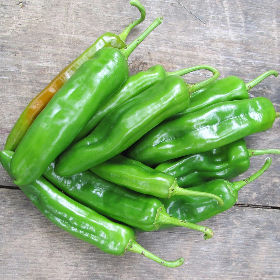 Hot Peppers – Hudson Valley Seed Company