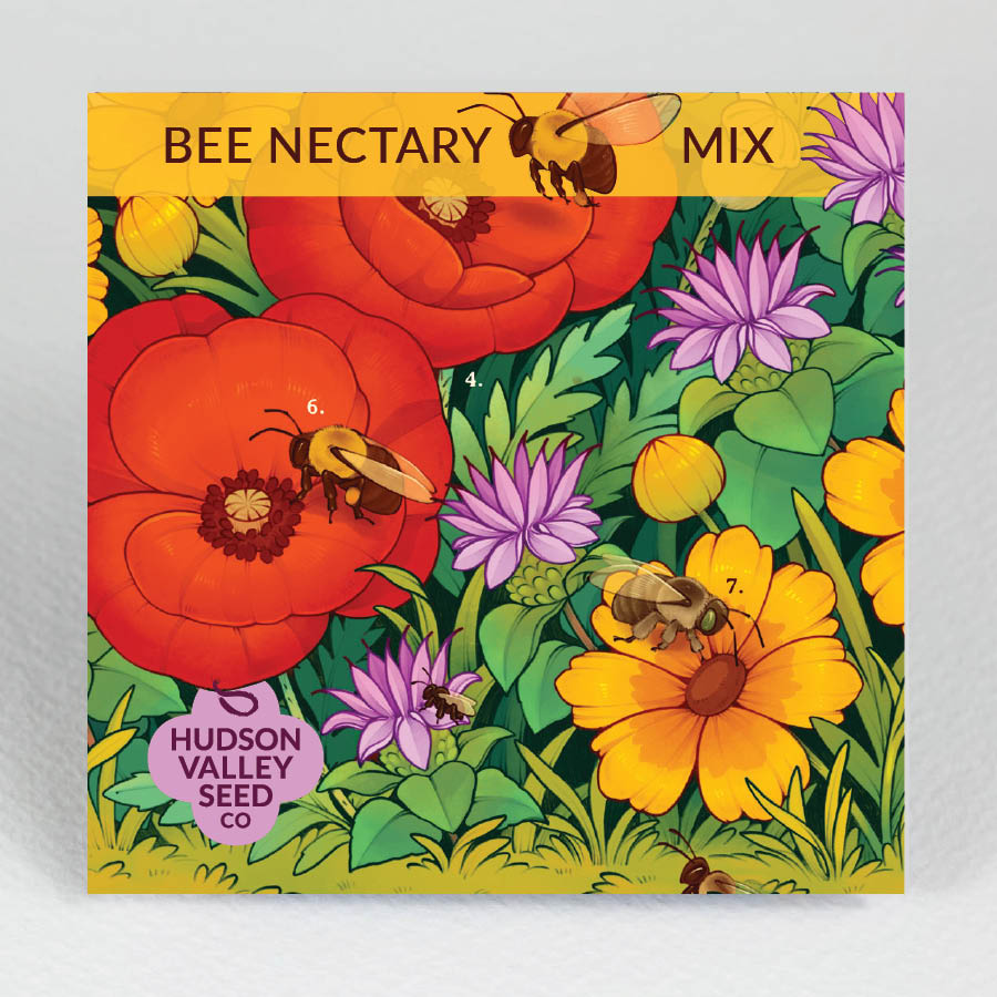 Bee Nectary Mix Flower Seeds – Hudson Valley Seed Company