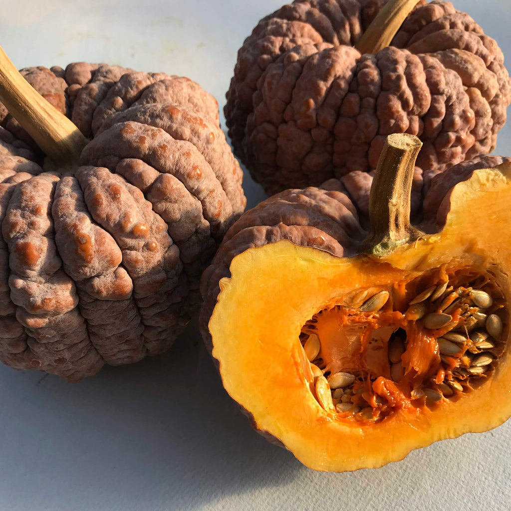 Black Futsu Squash Seeds – Hudson Valley Seed Company