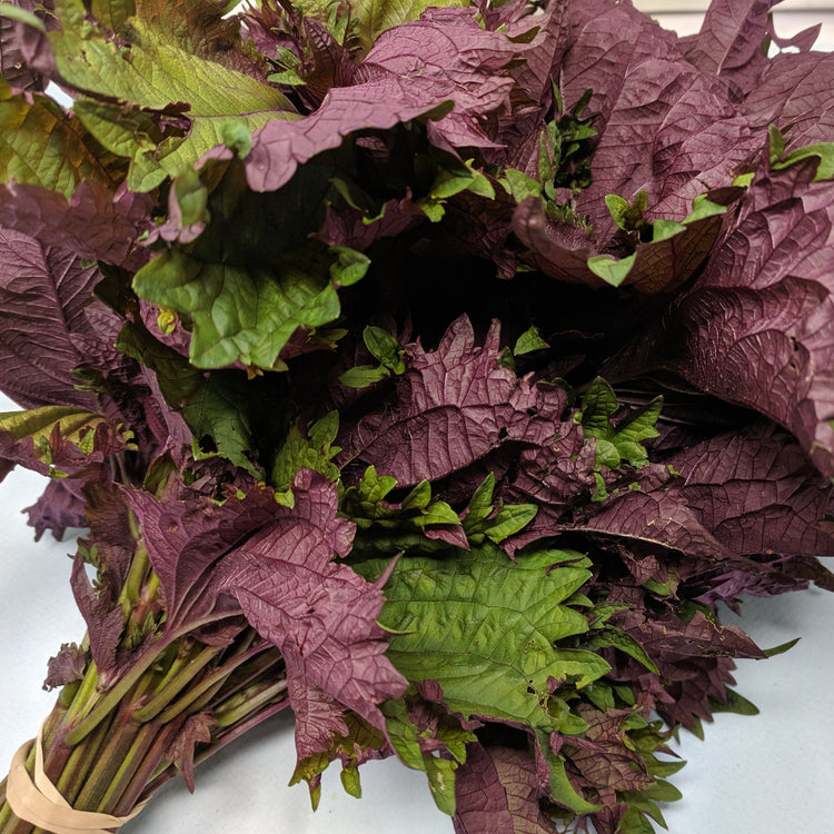 Asian Greens – Hudson Valley Seed Company