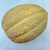 Pride of Wisconsin Melon – Hudson Valley Seed Company
