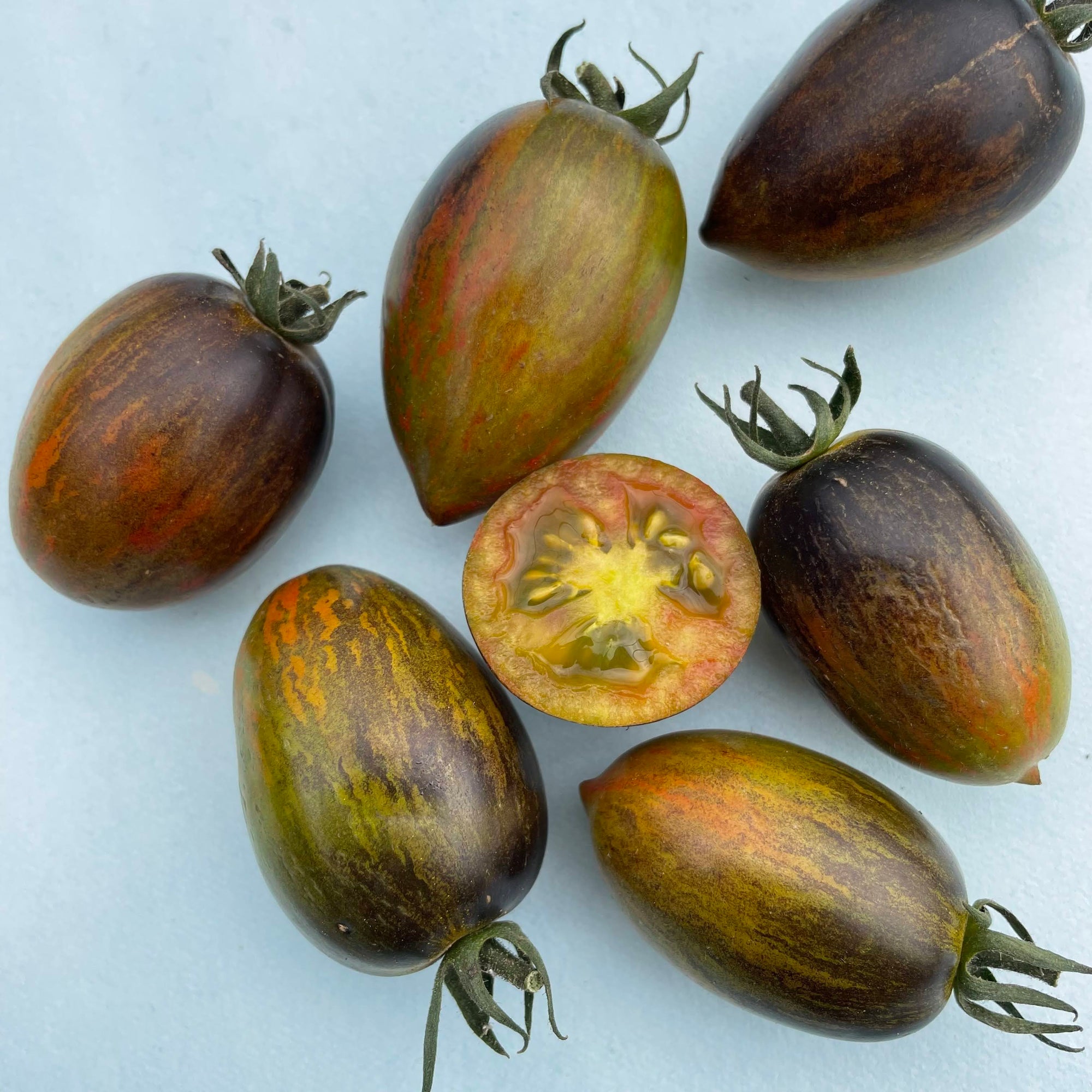 Magic Bullet Tomato – Hudson Valley Seed Company