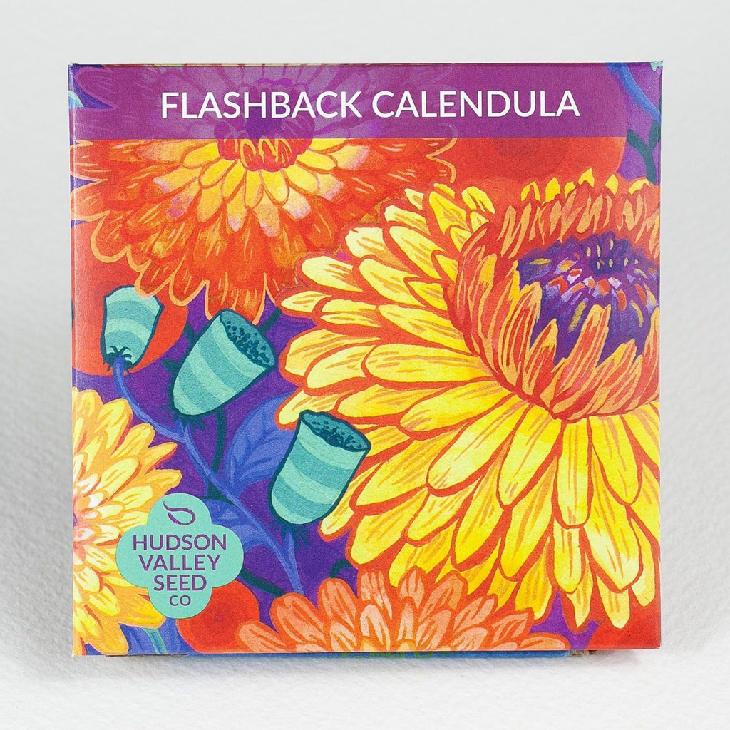 Flashback Calendula Mix Organic Seeds – Hudson Valley Seed Company
