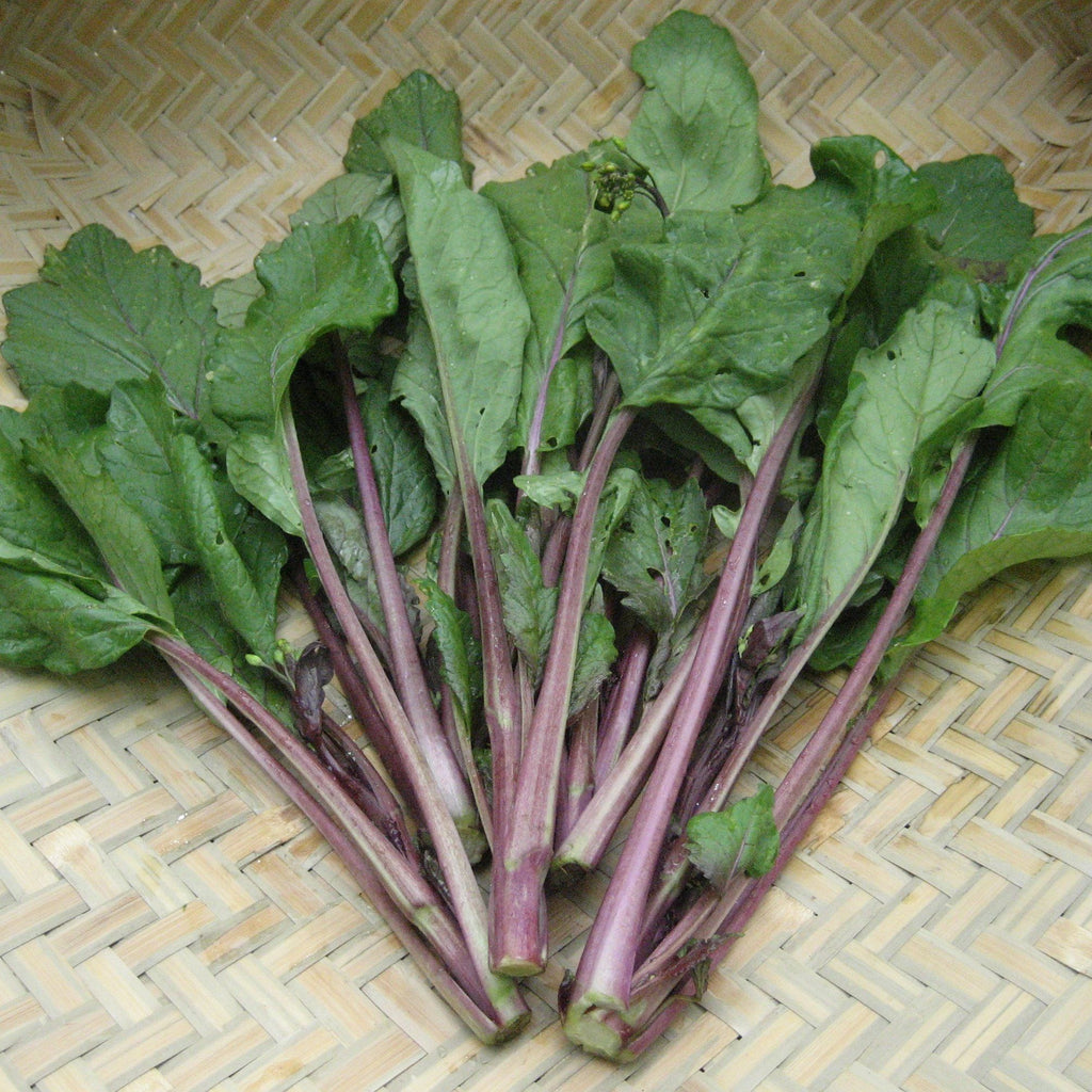 Hon Tsai Tai Seeds – Hudson Valley Seed Company