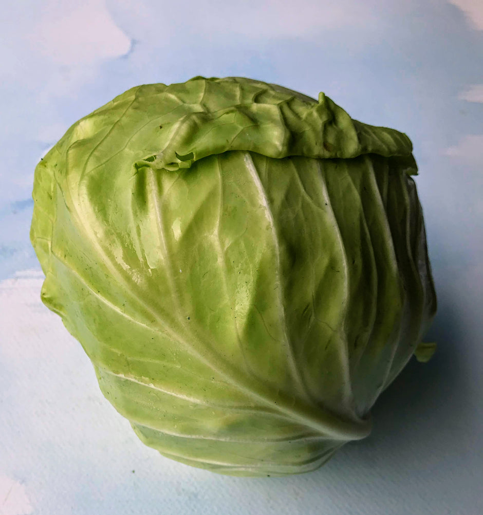 Cabbage – Hudson Valley Seed Company