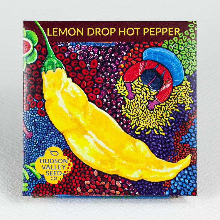 Lemon Drop Hot Pepper Organic Seeds – Hudson Valley Seed Company
