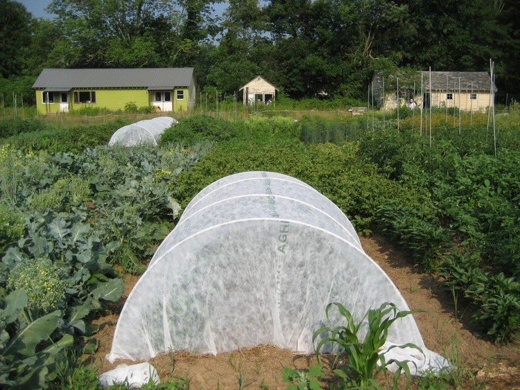 Row Covers – Hudson Valley Seed Company