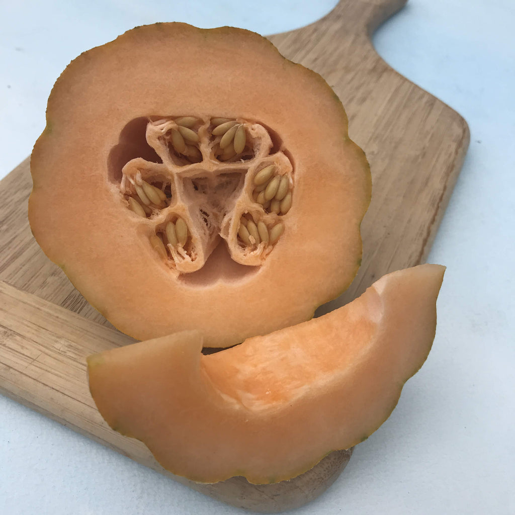 Minnesota Mini Melon Organic Seeds – Hudson Valley Seed Company