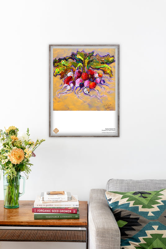 Radiant Radish Fine Art Poster – Hudson Valley Seed Company