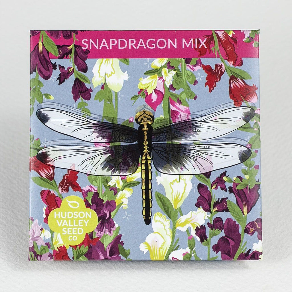 Snapdragon Mix Organic Seeds – Hudson Valley Seed Company