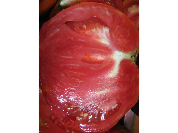 Stone Ridge Tomato Seeds – Hudson Valley Seed Company