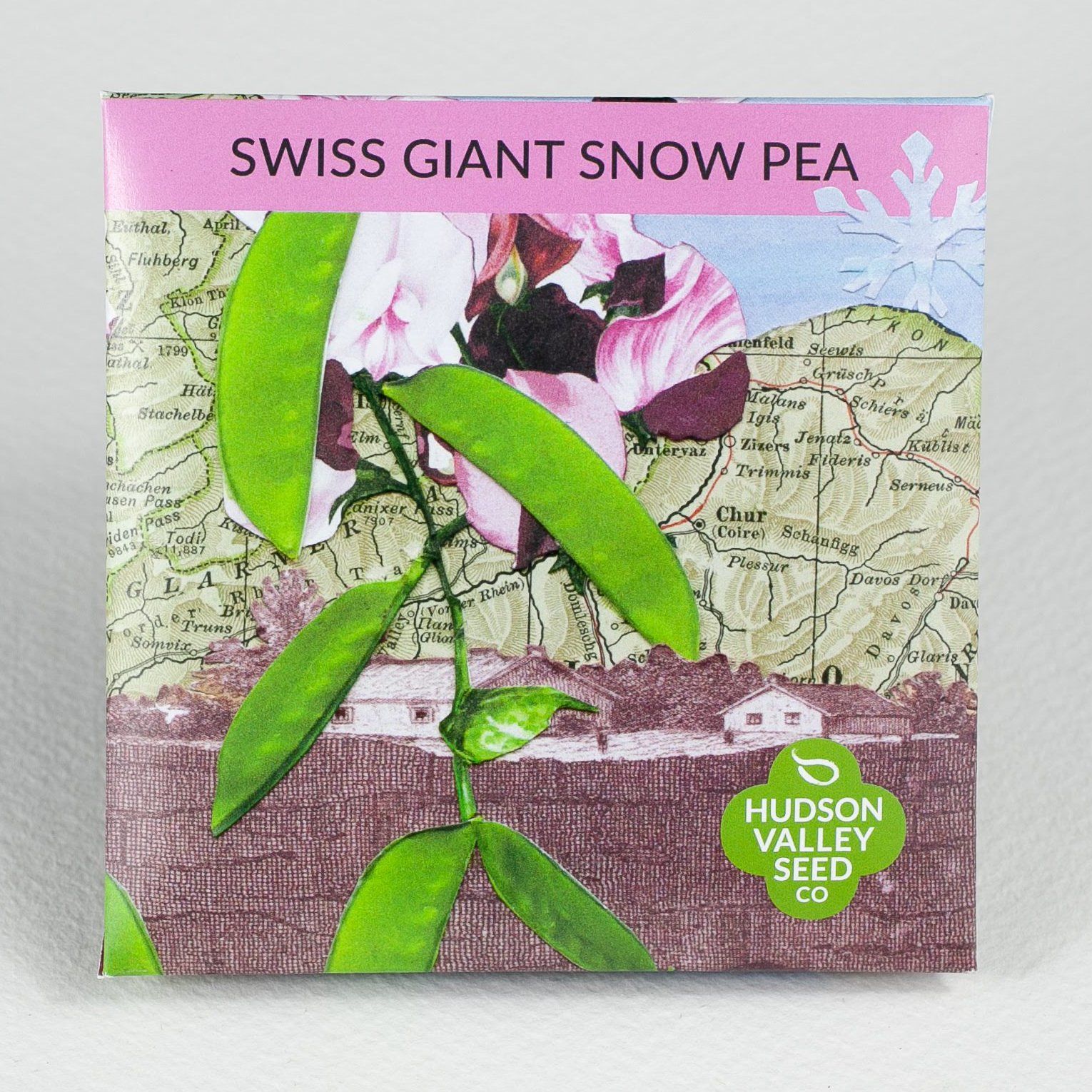 Swiss Giant Snow Pea Organic Seeds – Hudson Valley Seed Company