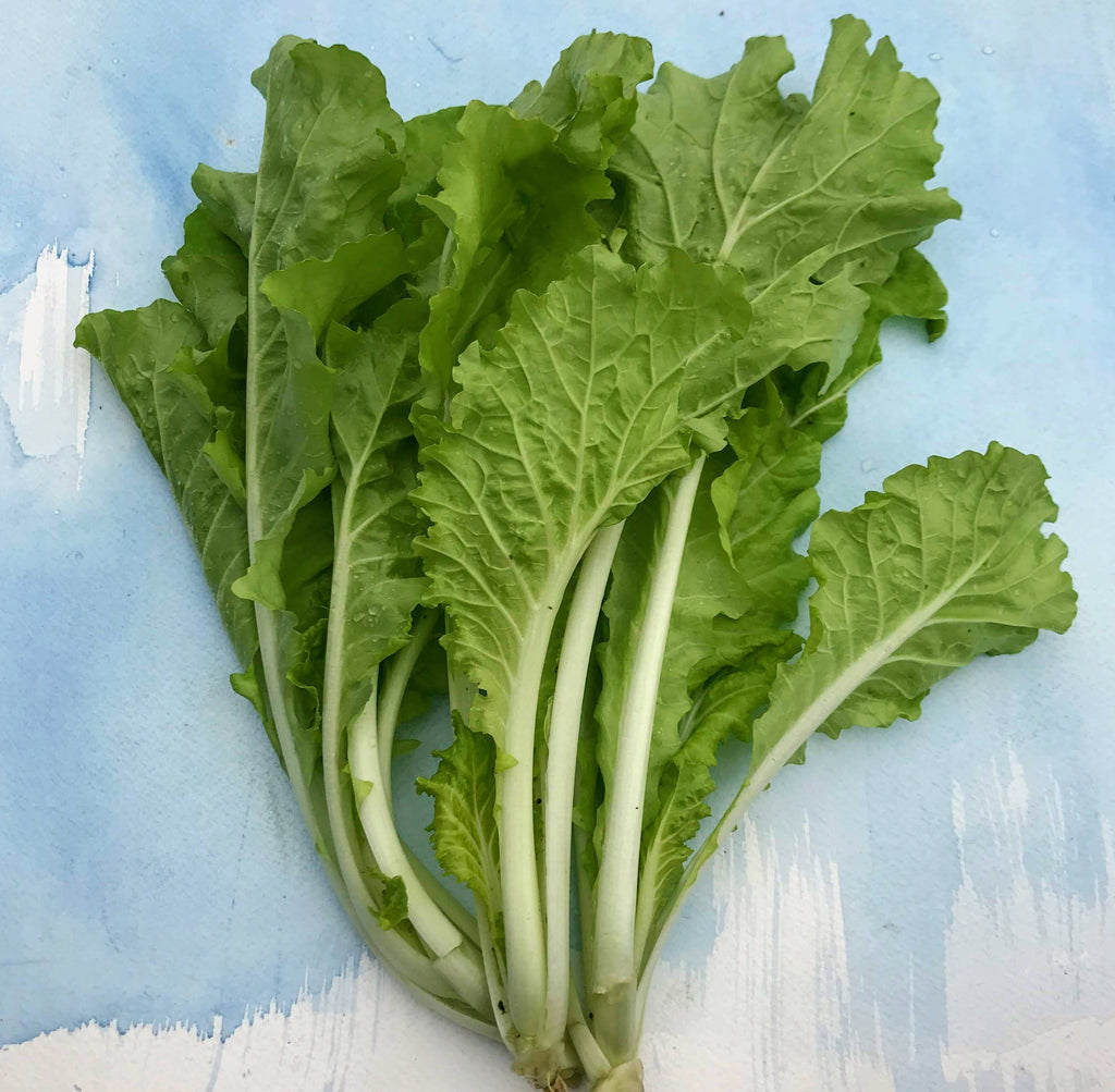 Tokyo Bekana Seeds – Hudson Valley Seed Company