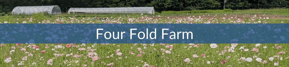 Four Fold Farm: The Farm of Hudson Valley Seed Co. – Hudson Valley Seed ...