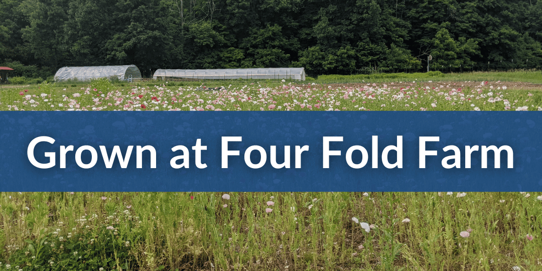 Grown at Four Fold Farm – Hudson Valley Seed Company