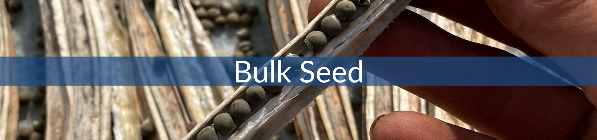 Bulk Seed – Hudson Valley Seed Company
