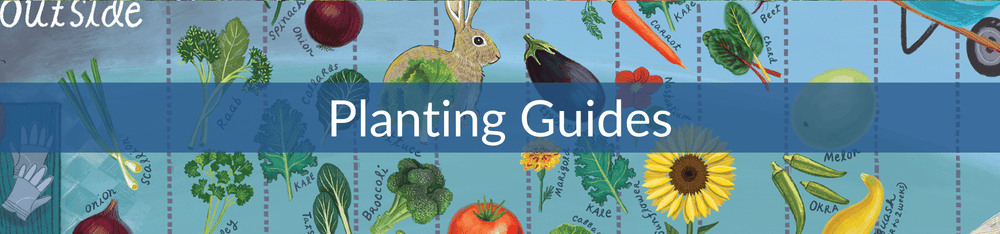 Planting Guide Posters – Hudson Valley Seed Company