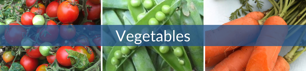 Vegetable Seeds – Hudson Valley Seed Company
